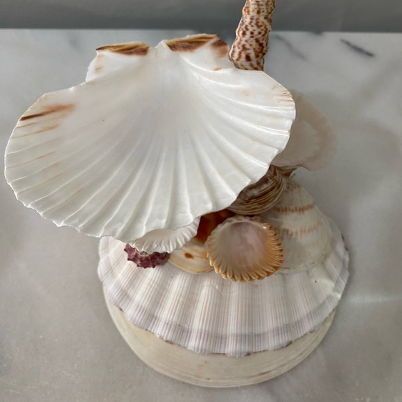 Storage & Organization | Seashell Jewelry Organizer Tower | Poshmark
